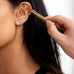 Gold Ear Seed Kit – BTWNTHESHEETS